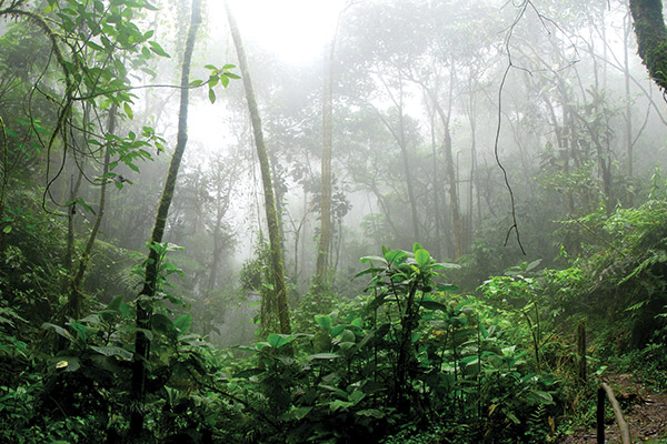 South America – The best travel destinations